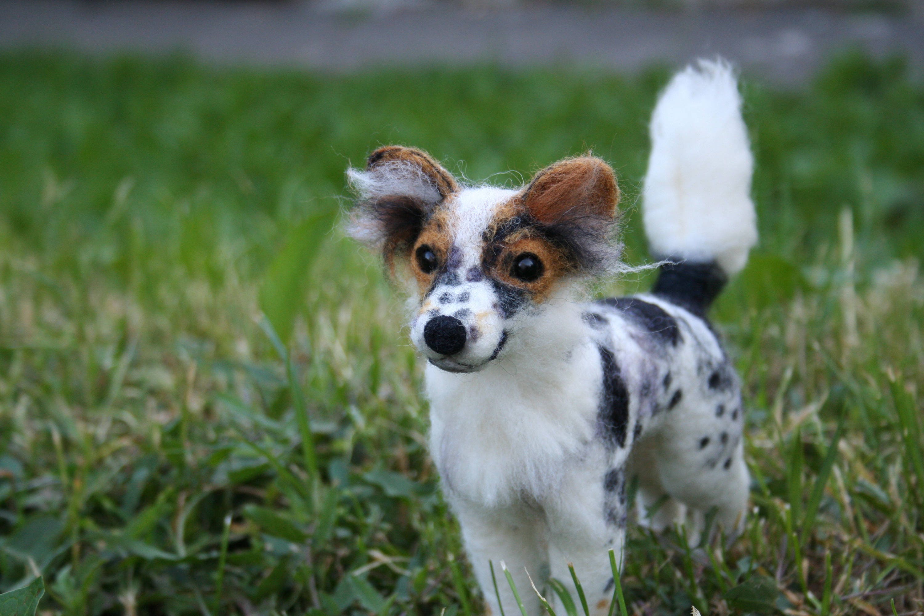 Custom Made Dog. Realistic Felted Dog. Needle Felted Dog. | Etsy