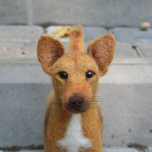 Custom Made Dog. Realistic Felted Dog. Needle Felted Dog. Needle Felted ...