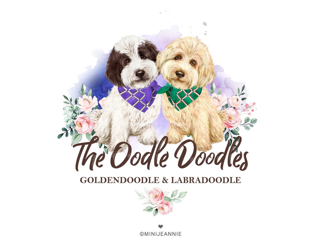 Goldendoodle and Labradoodle Logo, Doodle Puppy Logo, Poodle Dog Logo ...