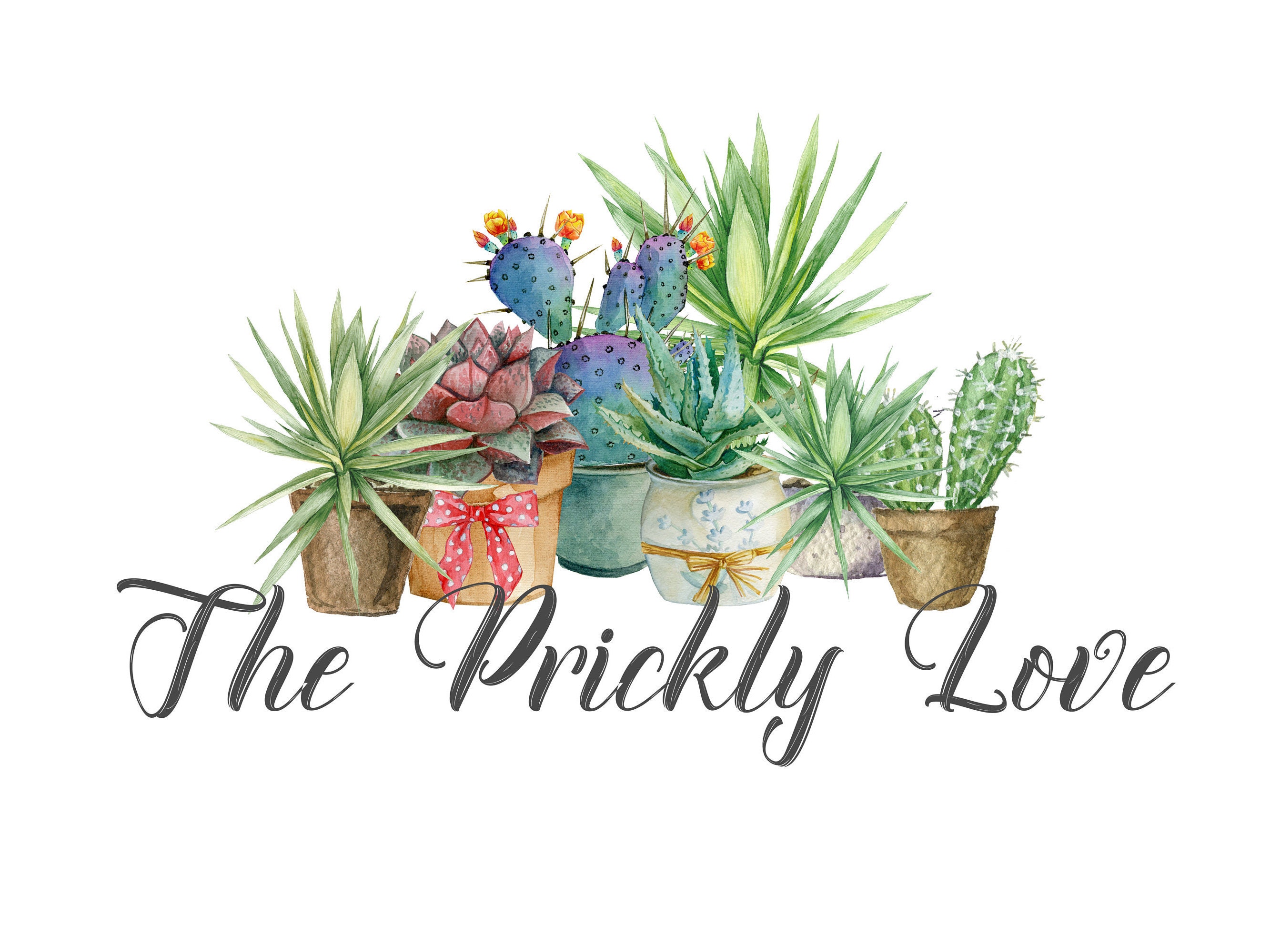 Cactus Logo-Desert Logo-Succulent Logo-Botanical Logo-Potted | Etsy