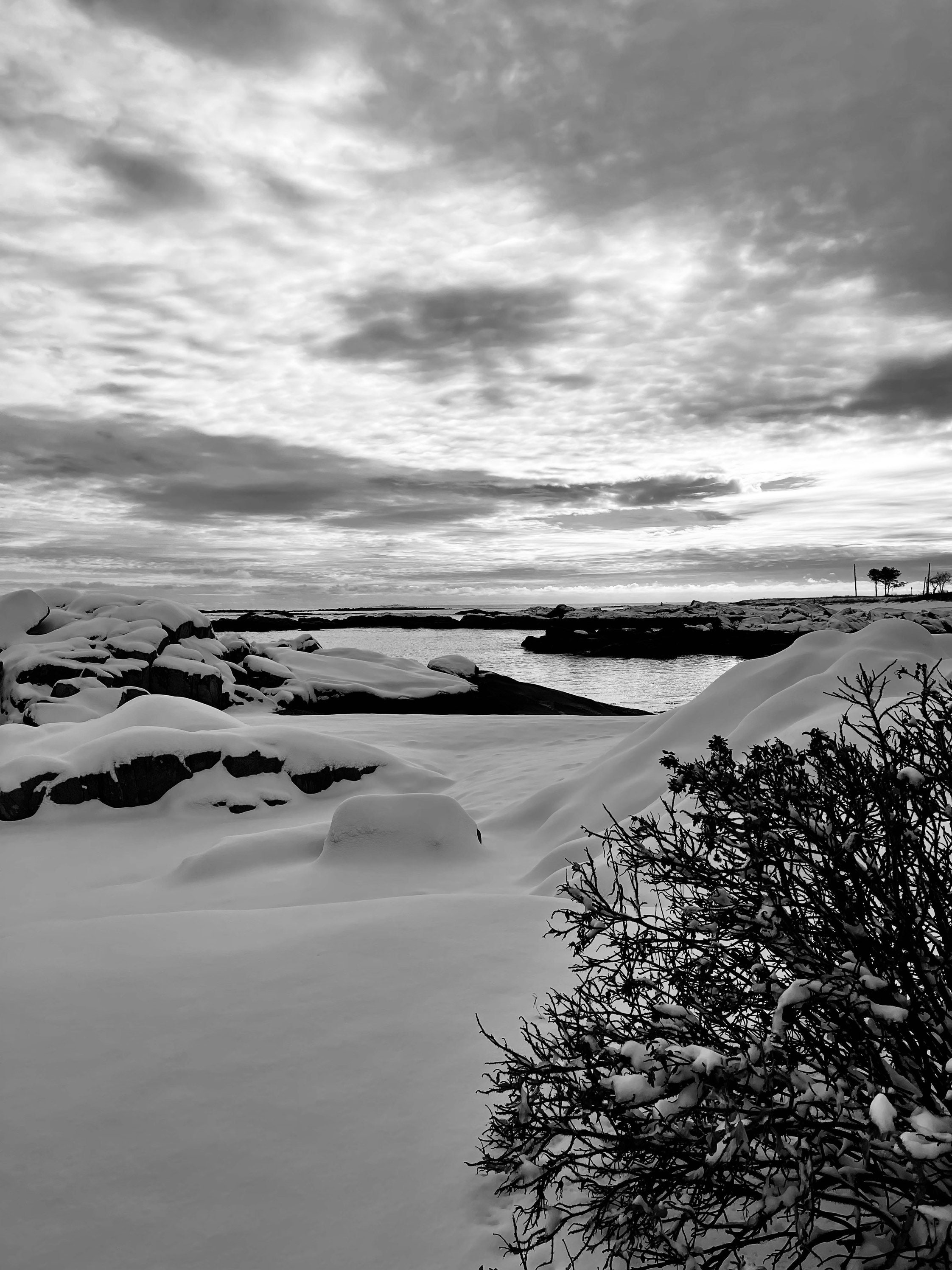 Dark Reflecting Pool- Shadow Work Mentoring Package - Etsy