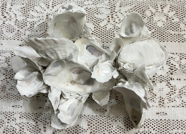 VintageRain812 - Etsy