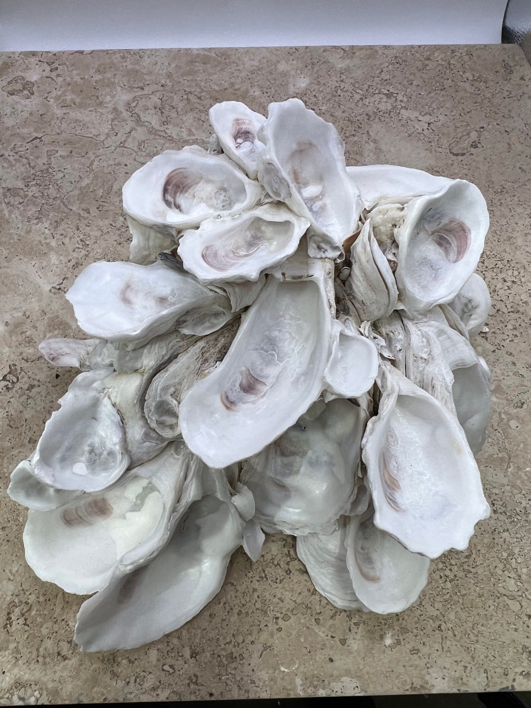 Oyster Shell Cluster, Beach Decor, Beach Wedding, Nautical Theme, Home ...