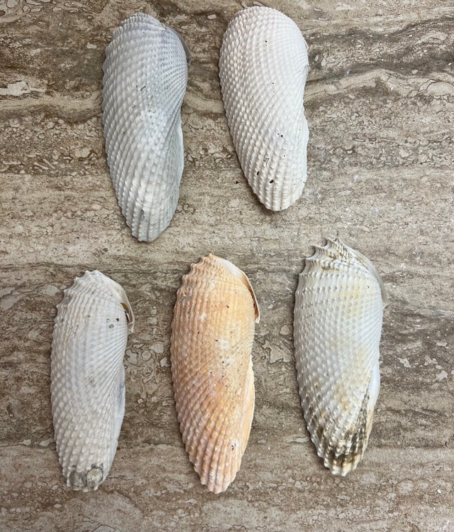 VintageRain812 - Etsy