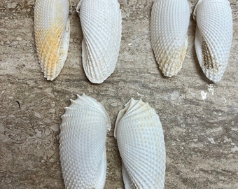 VintageRain812 - Etsy