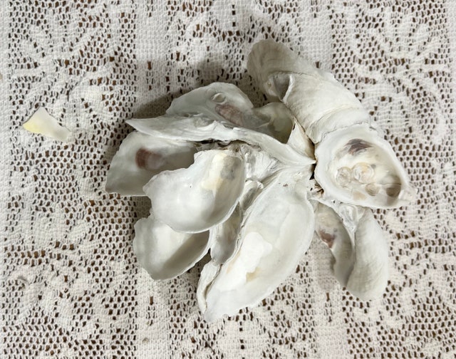 VintageRain812 - Etsy