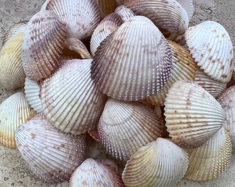 VintageRain812 - Etsy