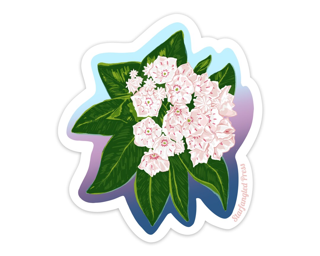 Mountain Laurel 3" Vinyl Sticker - Etsy