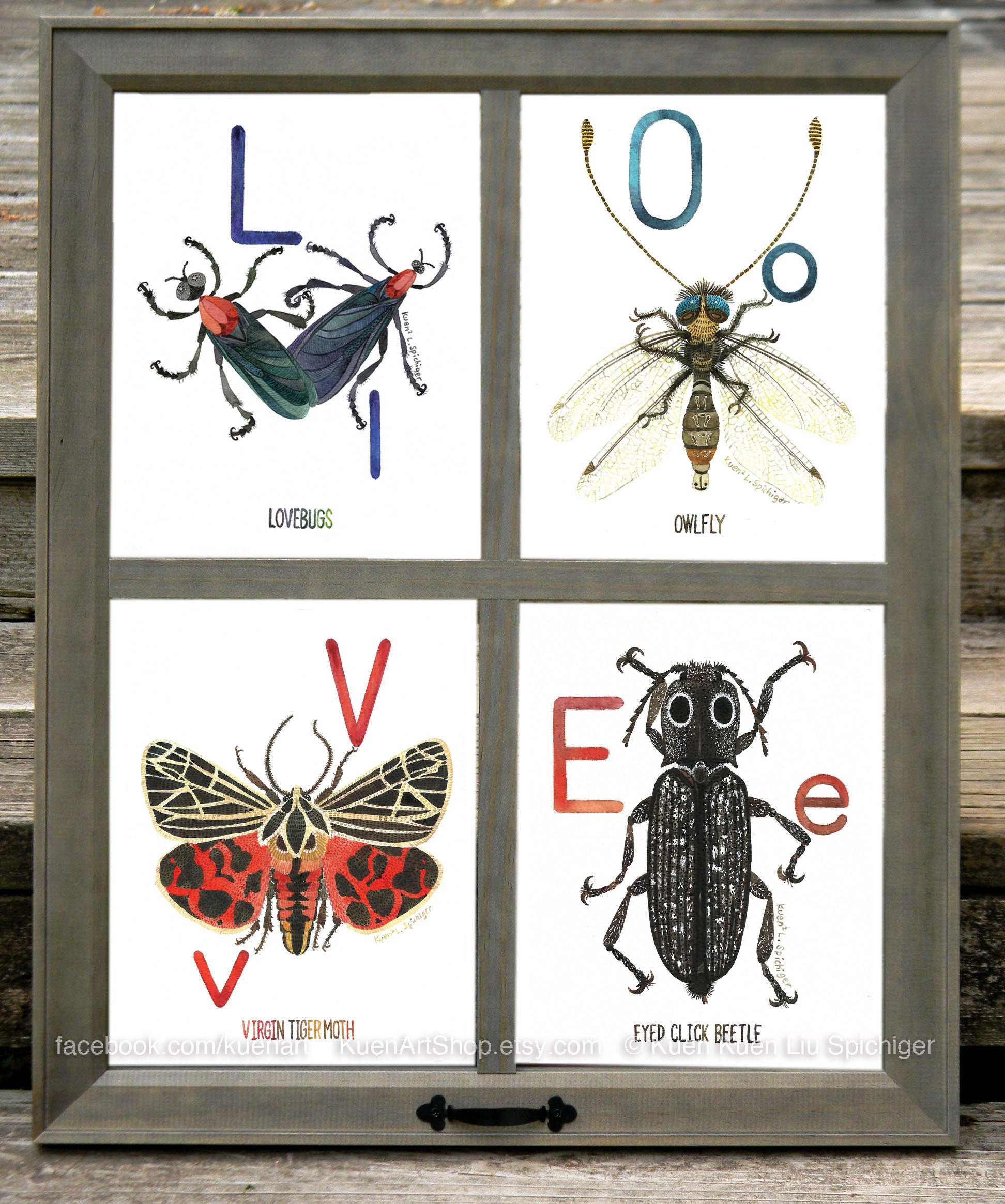 A-Z 26 Insect Art Print, ABC North America Insect Alphabet, Watercolor ...