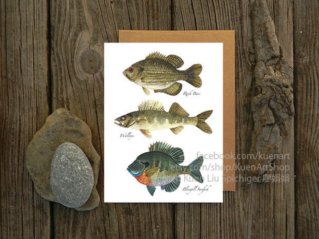 Set of 5 Cards, Freshwater Fish, River Fish, Watercolor Painting ...