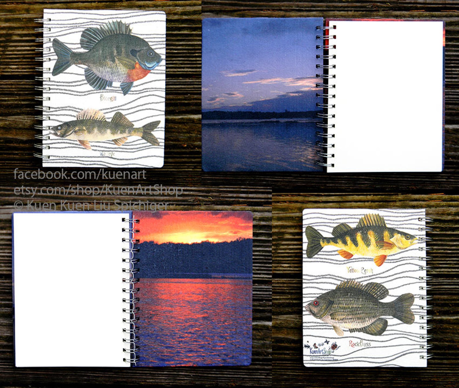 Coverstory: Freshwater Fish Notebook/sketchbook/sketch Book - Etsy