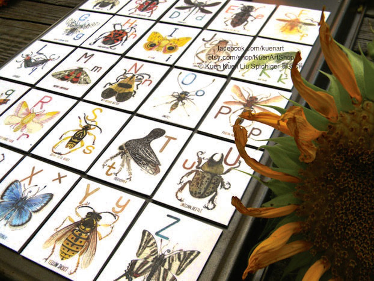 A-Z Insect Alphabet Magnets, ABC Bug Alphabet, Nursery Name Art ...