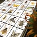 A-Z Insect Alphabet Magnets, ABC Bug Alphabet, Nursery Name Art ...