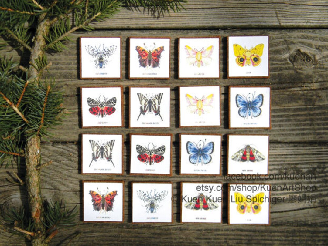 Moths and Butterflies Memory Matching Game, Insect ABC Felt Puzzle ...
