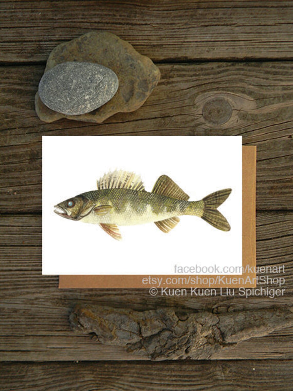 Set of 5 Cards, Freshwater Fish, River Fish, Watercolor Painting ...