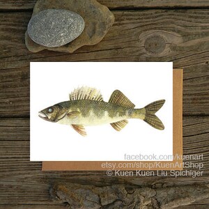 Set of 5 Cards, Freshwater Fish, River Fish, Watercolor Painting ...