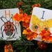 ABC Alphabug Cards, the Alphabet of Bugs Flash Cards A-Z, Insect ...