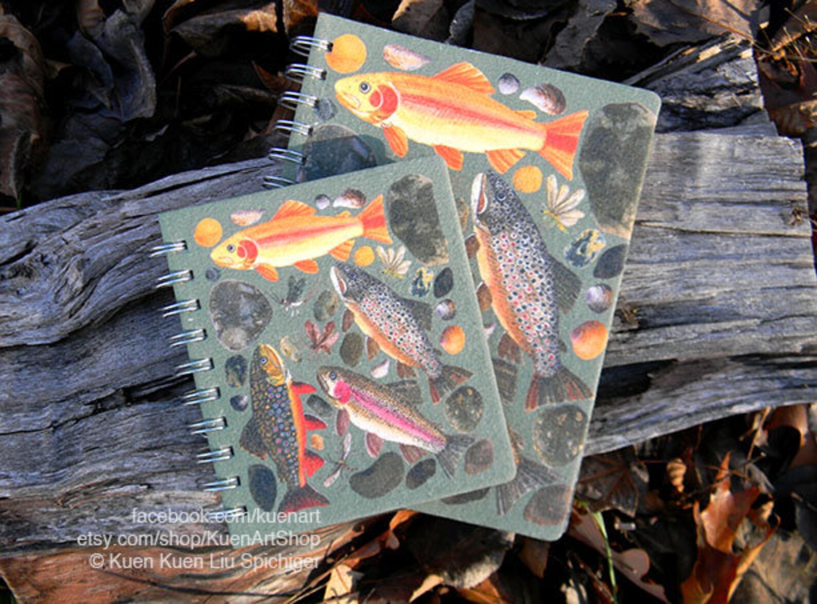 Coverstory: Freshwater Fish Notebook/sketchbook/sketch Book - Etsy