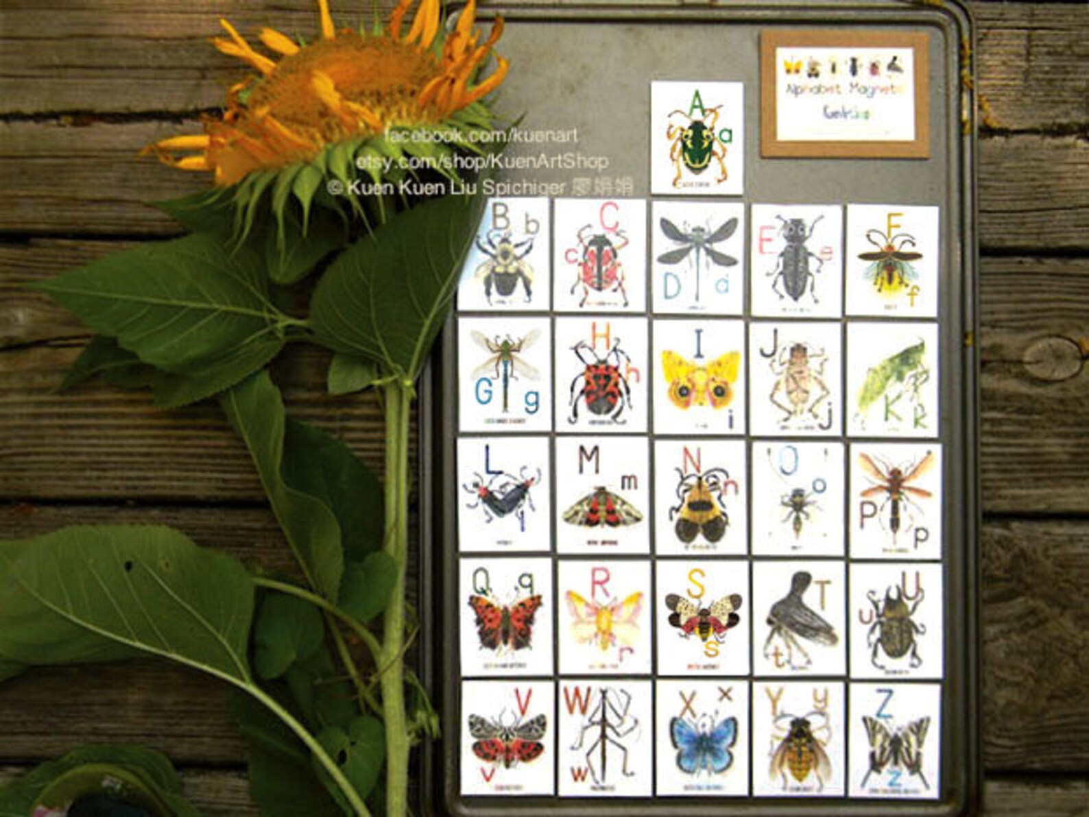 A-Z Insect Alphabet Magnets, ABC Bug Alphabet, Nursery Name Art ...
