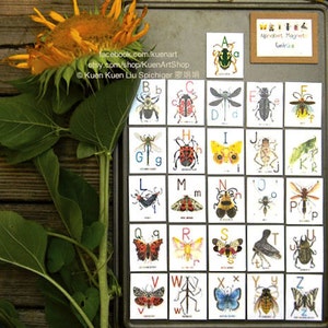 A-Z Insect Alphabet Magnets, ABC Bug Alphabet, Nursery Name Art ...