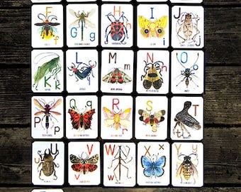 ABC Alphabug Cards the Alphabet of Bugs Flash Cards A-Z - Etsy