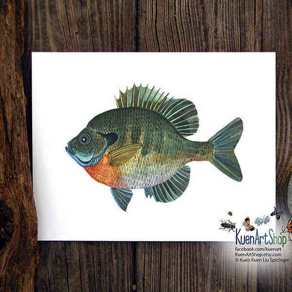 Bluegill - Etsy