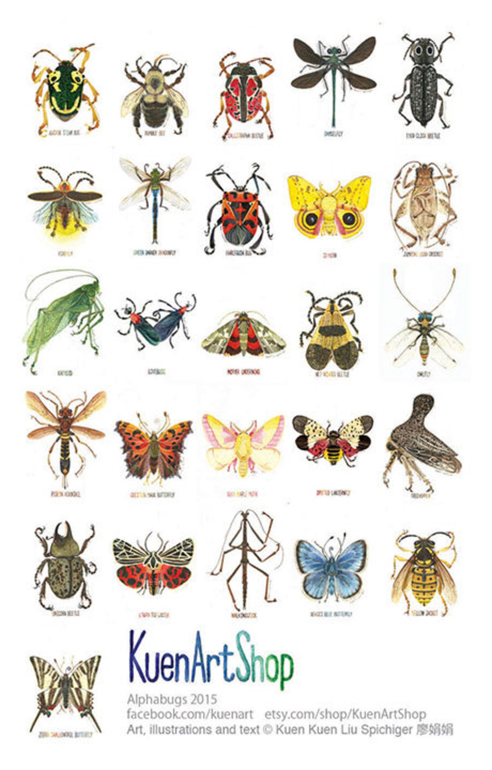 A-Z 26 Insect Art Print, ABC North America Insect Alphabet, Watercolor ...