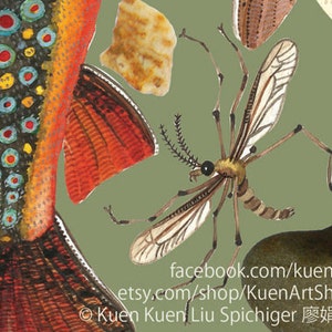 Trout & Water Bugs Art Print, Fish Decor, Watercolor Painting ...