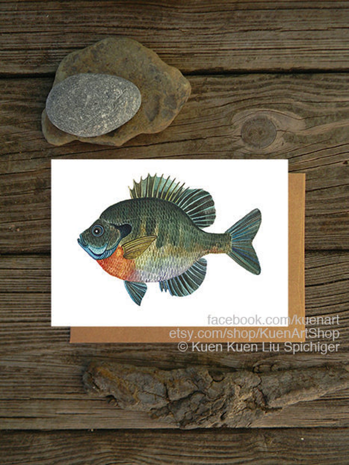 Set of 5 Cards, Freshwater Fish, River Fish, Watercolor Painting ...