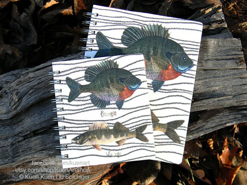 Coverstory: Freshwater Fish Notebook/sketchbook/sketch Book - Etsy