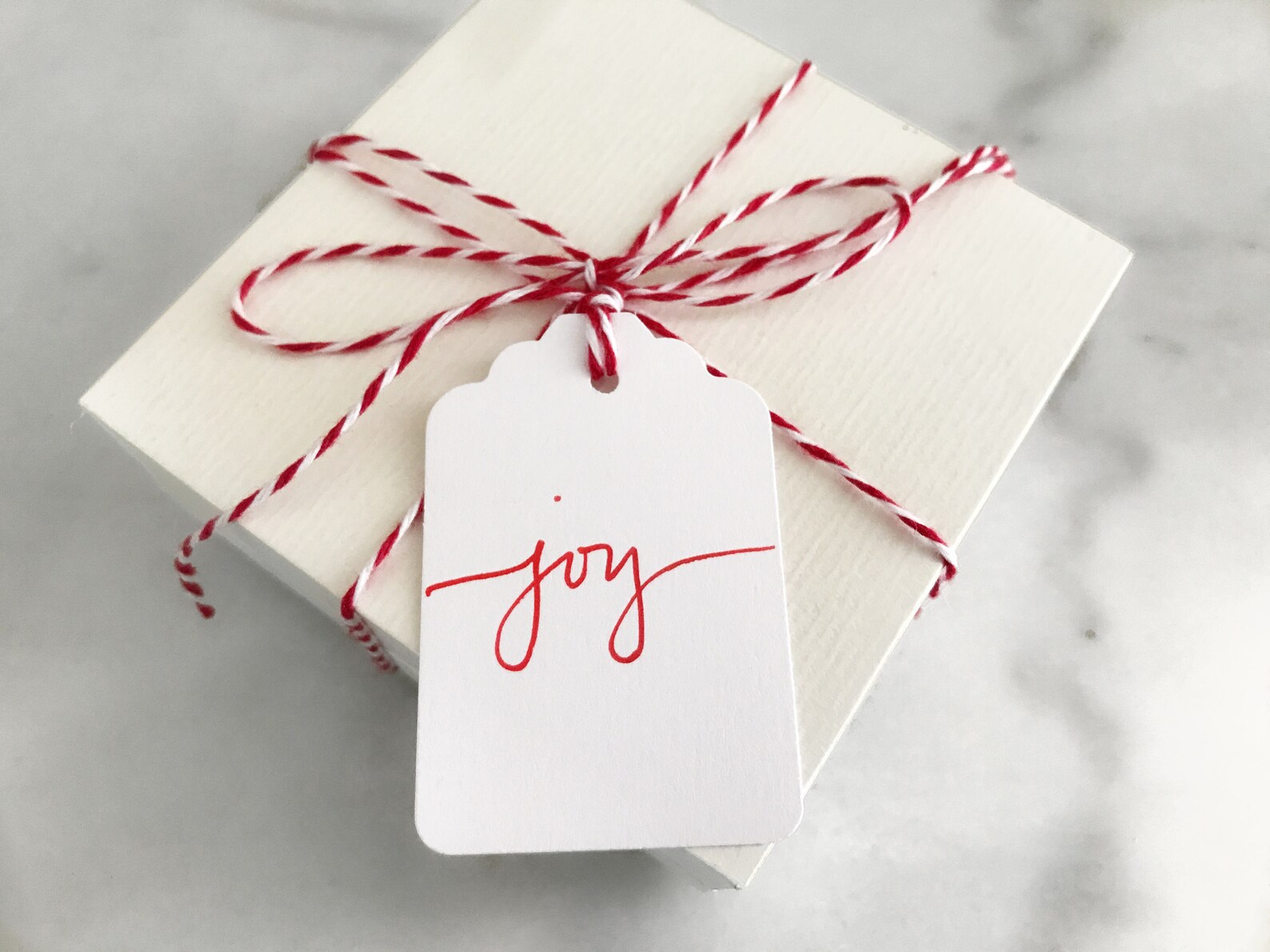 Joy Christmas Paper Gift Tags 12pc-red/ White Twine Holiday Stationery ...