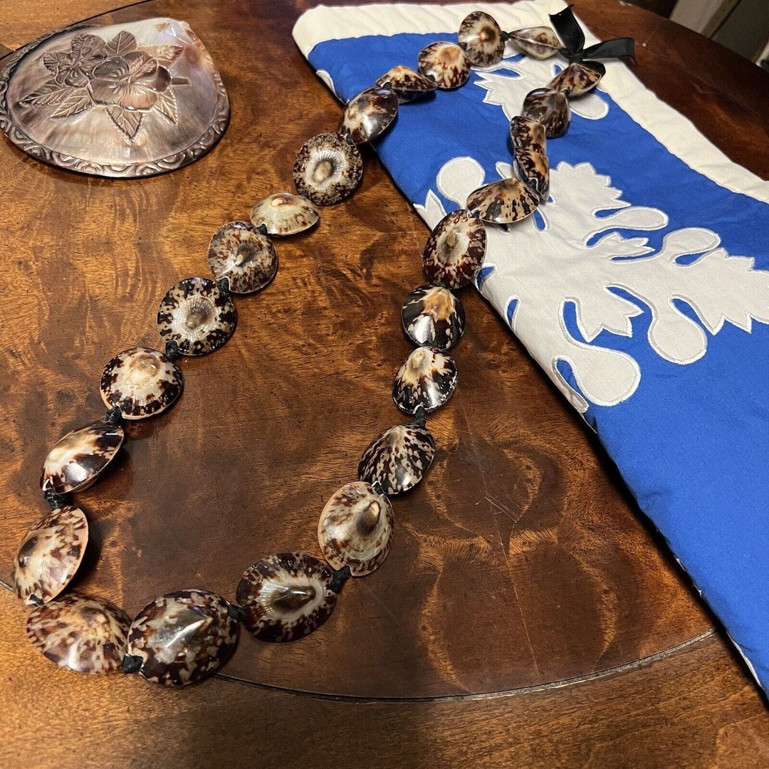 Vintage Hawaiian Opihi Limpet Shell Long Necklace Two Sided - Etsy
