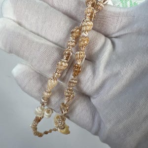 Hawaiian Brown White Tiny Conch Sea Shells Necklace Ocean Boho 34 - Etsy