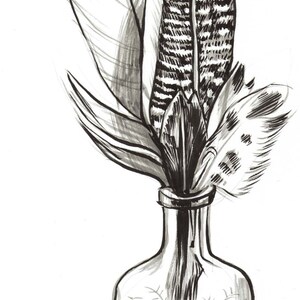Feather Ink Drawing Art Print Nature Print Feathers Home - Etsy