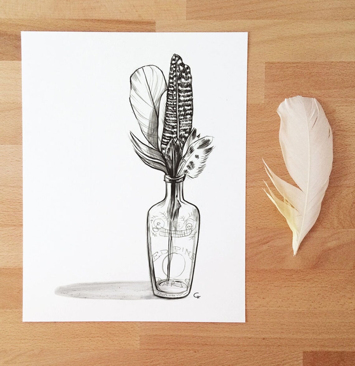 Feather Ink Drawing Art Print Nature Print Feathers Home - Etsy