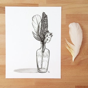 Feather Ink Drawing Art Print Nature Print Feathers Home - Etsy