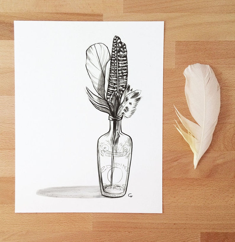 Feather Ink Drawing Art Print Nature Print Feathers Home - Etsy