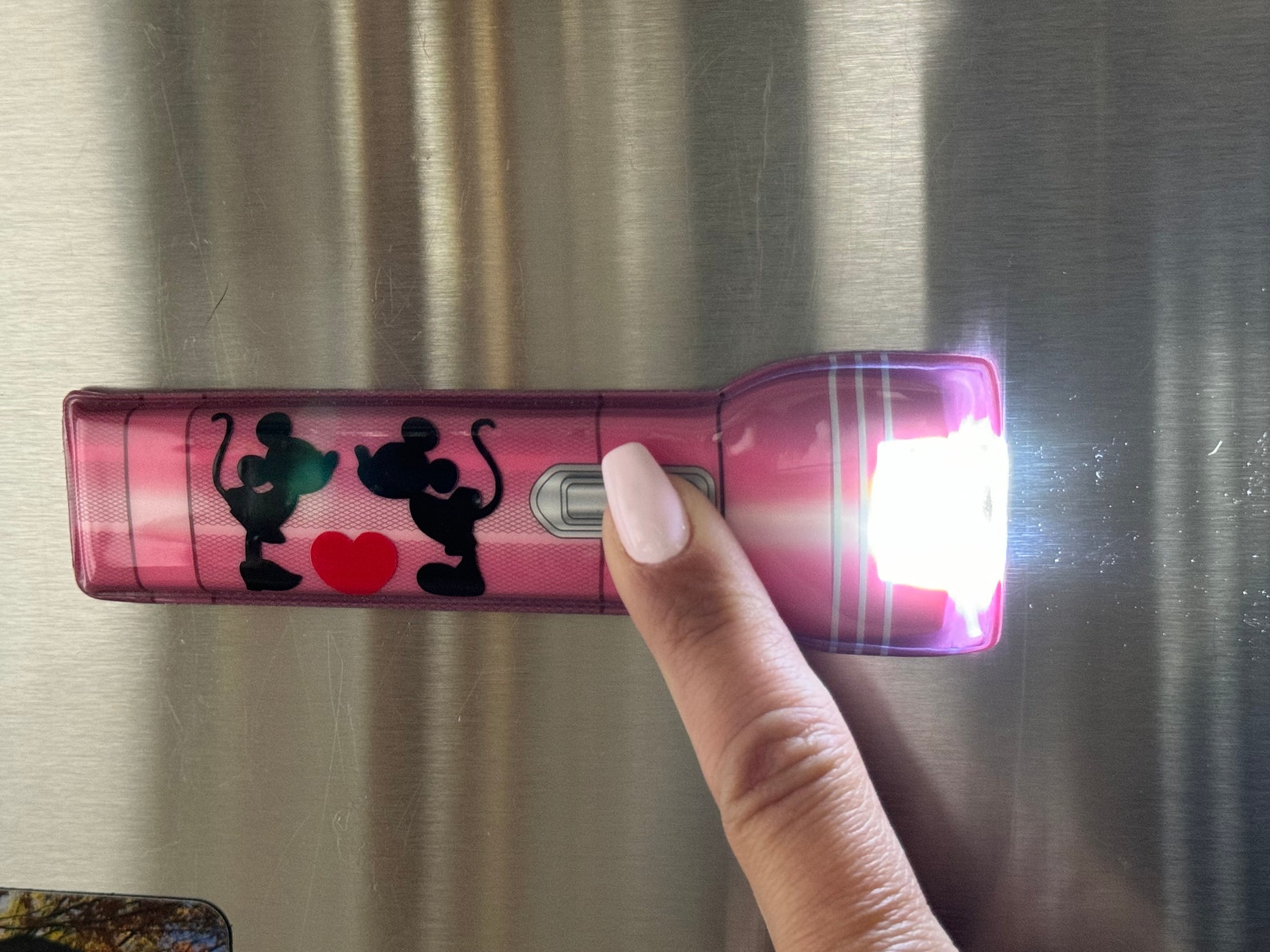 Disney Inspired Flashlight Magnet / Disney Fish Extender / Disney Flash ...