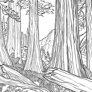 Sequoia National Park - Etsy