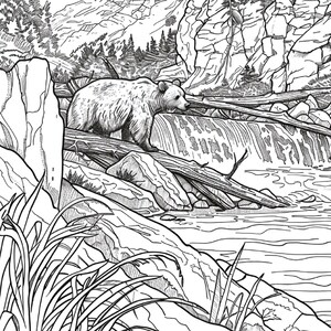 Katmai National Park Coloring Page - Etsy