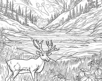 denali national park coloring page