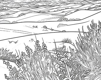 sand dunes coloring page