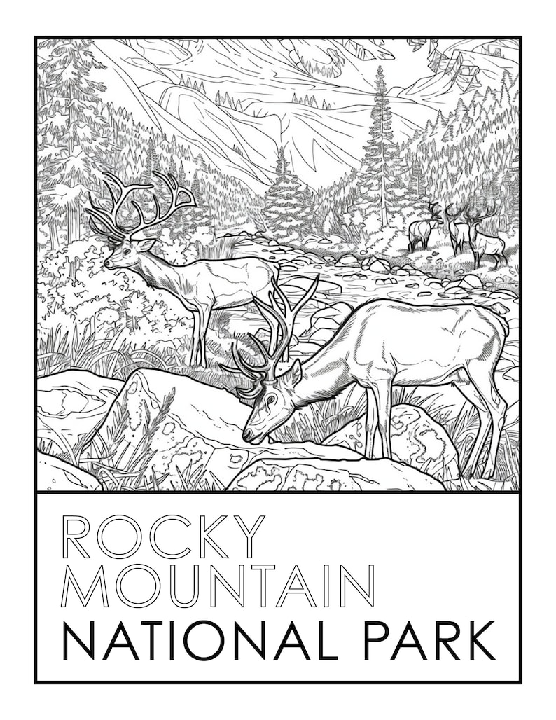 US National Parks Coloring Pages Bundle: Yosemite, Joshua Tree, & Rocky ...