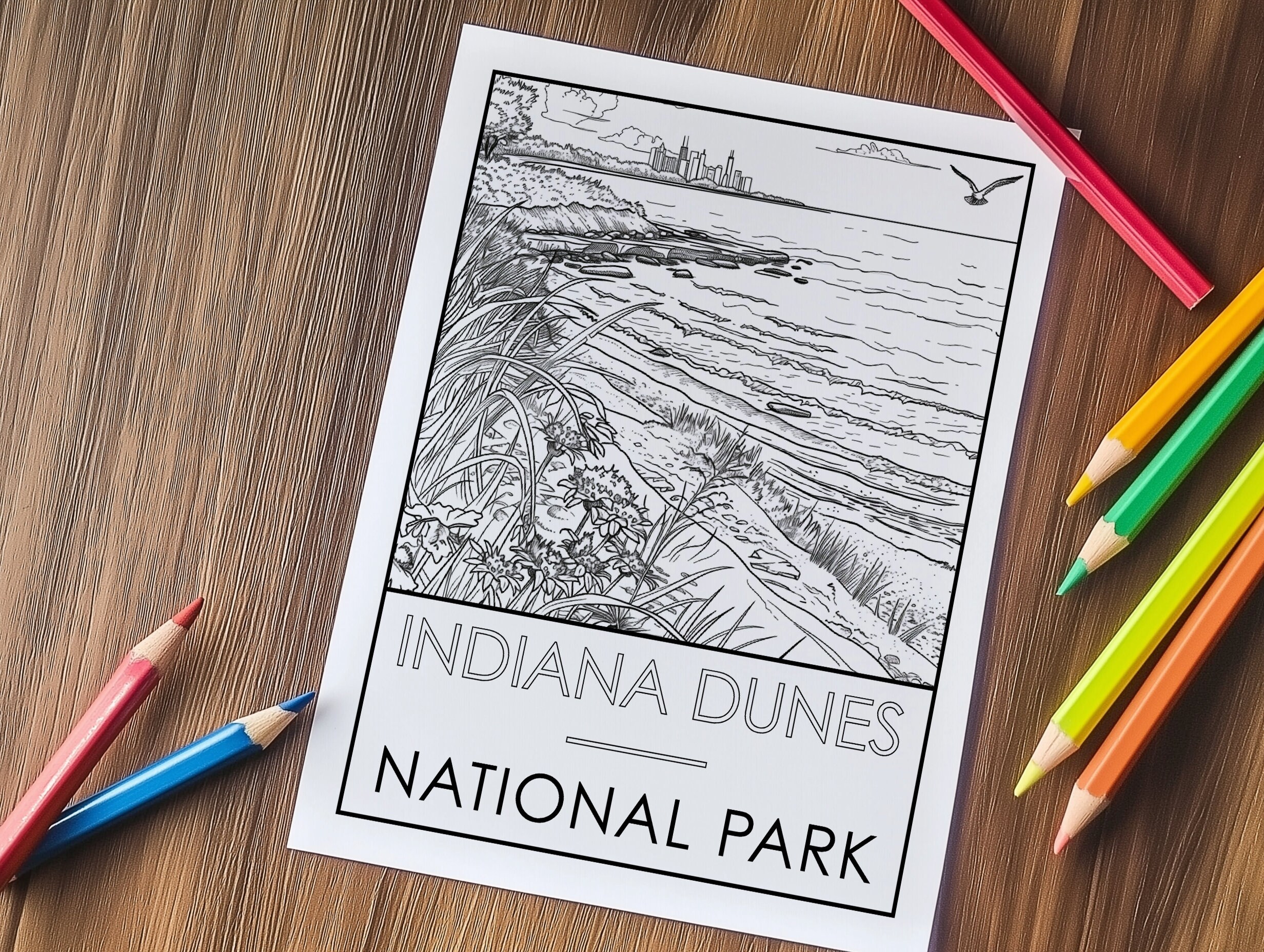 Indiana Dunes National Park Coloring Page - Etsy