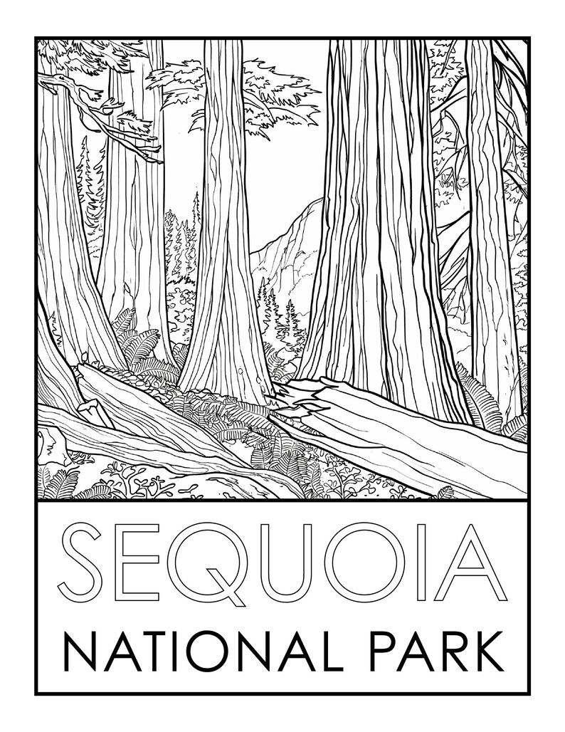 Sequoia National Park - Etsy