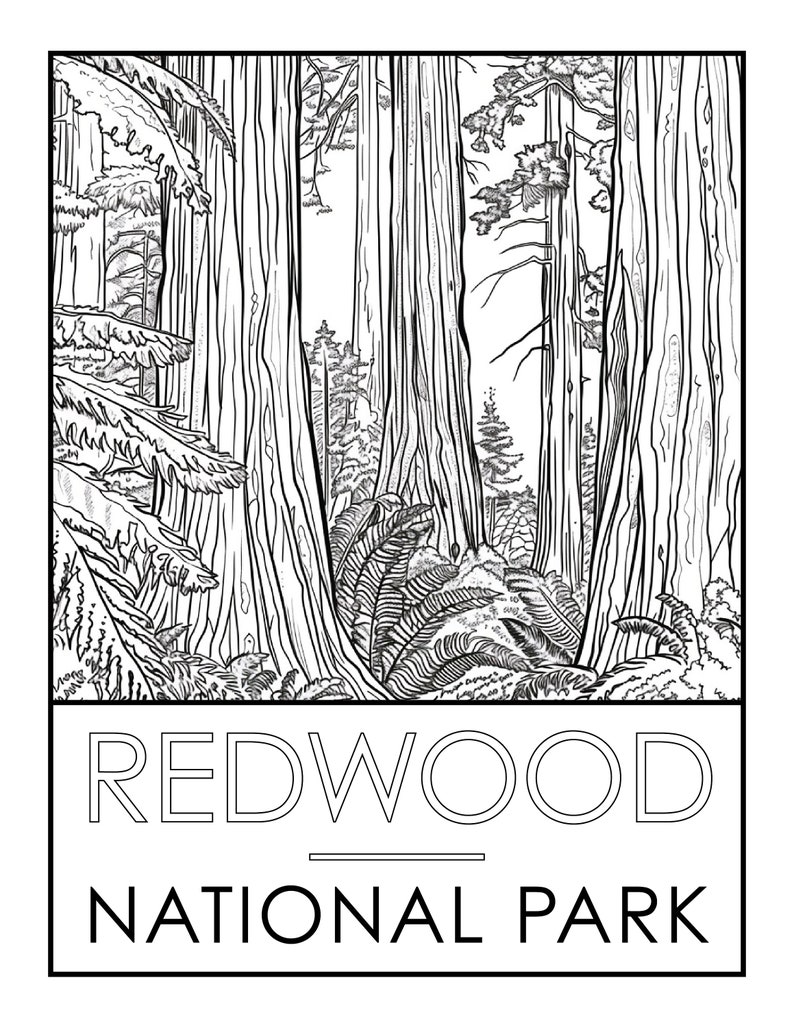 US National Parks Coloring Pages Bundle: Glacier, Smoky Mountains ...