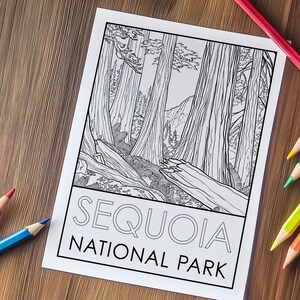 Sequoia National Park - Etsy