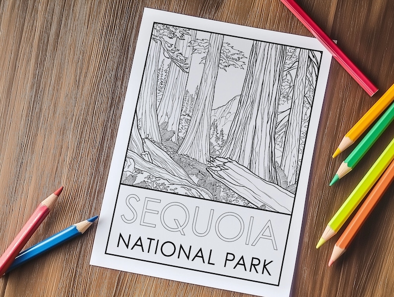 Sequoia National Park - Etsy