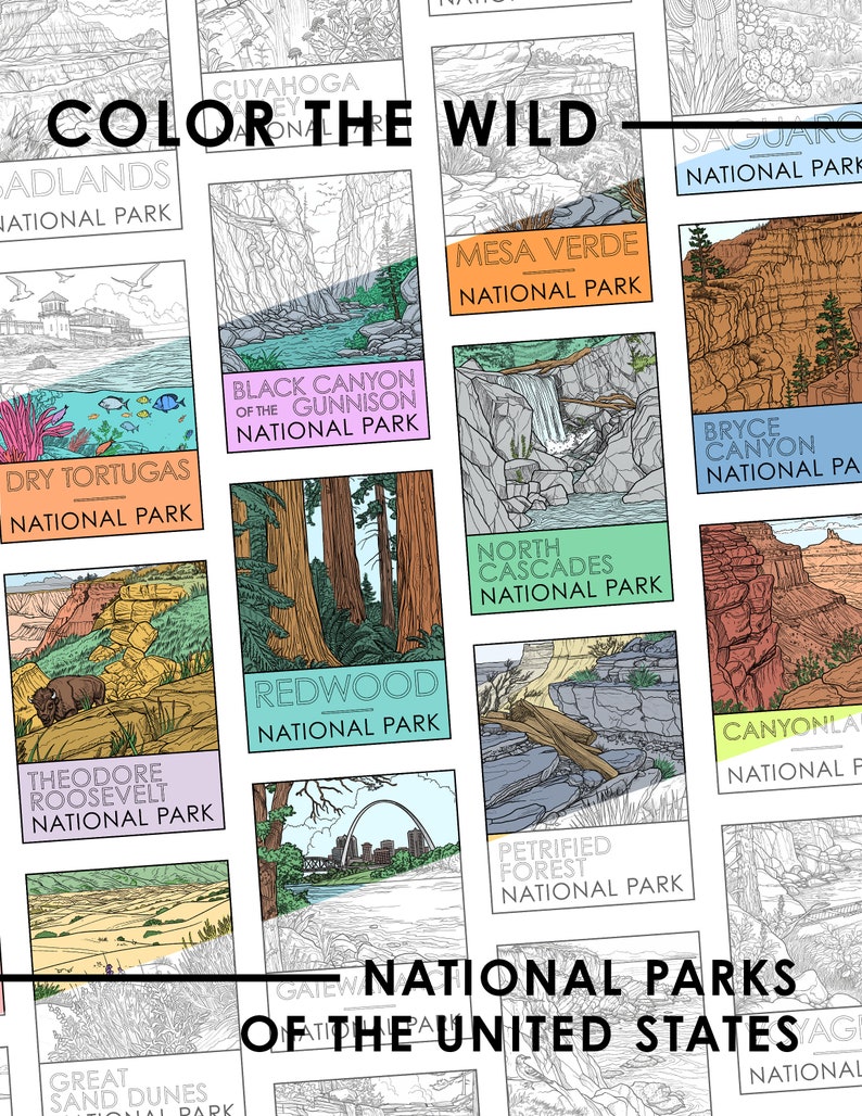 Carlsbad Caverns National Park Coloring Page - Etsy
