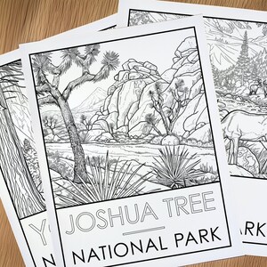US National Parks Coloring Pages Bundle: Yosemite, Joshua Tree, & Rocky ...
